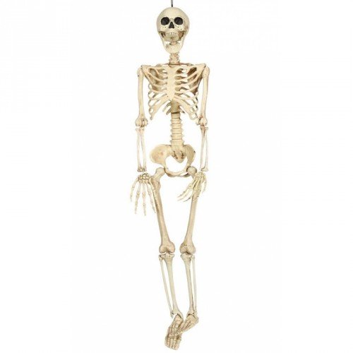 Skelet 90 cm i kraftig plast | Køb stort skellet her!!